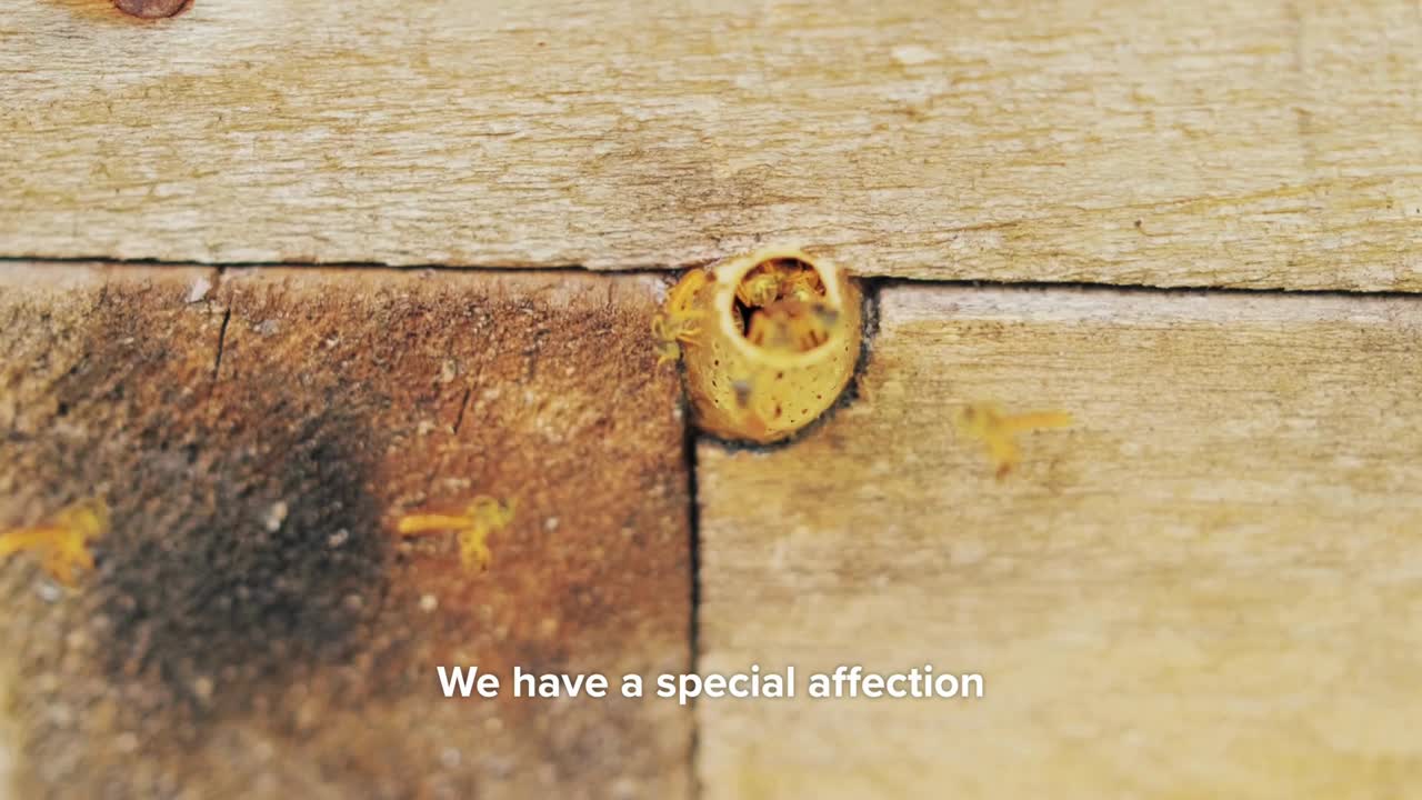 Calibre Mining Corp on LinkedIn: #calibremining #calibreminingcorp # ... Calibre Mining Corp on LinkedIn: #calibremining #calibreminingcorp # ...
