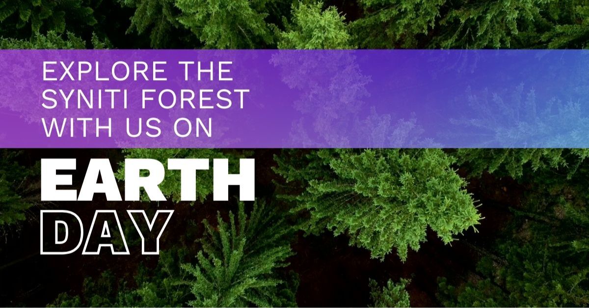 David Williamson on LinkedIn: Syniti Forest David Williamson on LinkedIn: Syniti Forest