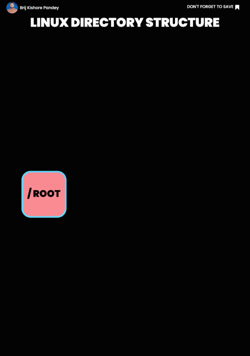 LetsDefend on LinkedIn: Linux Directory Structure LetsDefend on LinkedIn: Linux Directory Structure