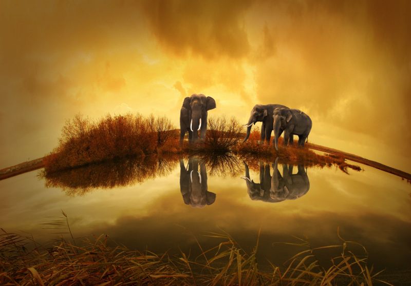 Behshad Behnam on LinkedIn: #postgresql #postgresql #databaseprotection ... Behshad Behnam on LinkedIn: #postgresql #postgresql #databaseprotection ...