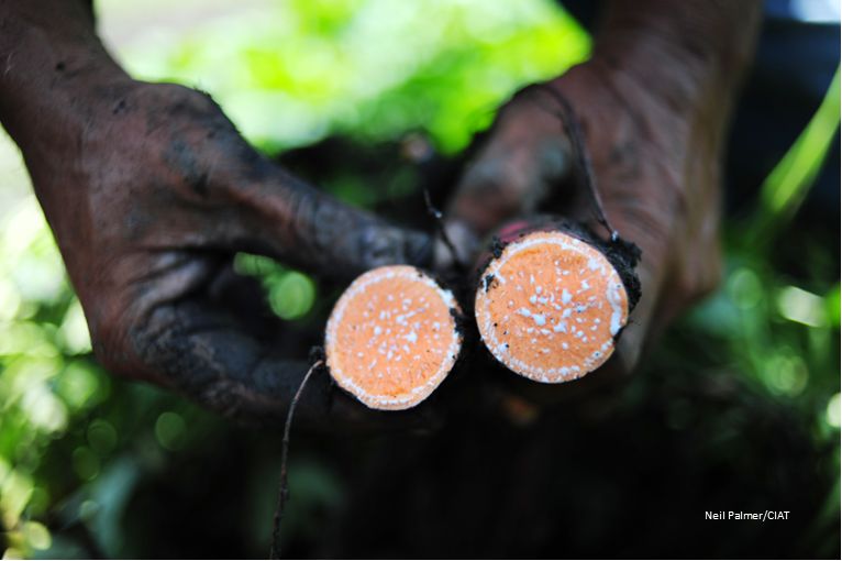 International Food Policy Research Institute (IFPRI) on LinkedIn ... International Food Policy Research Institute (IFPRI) on LinkedIn ...