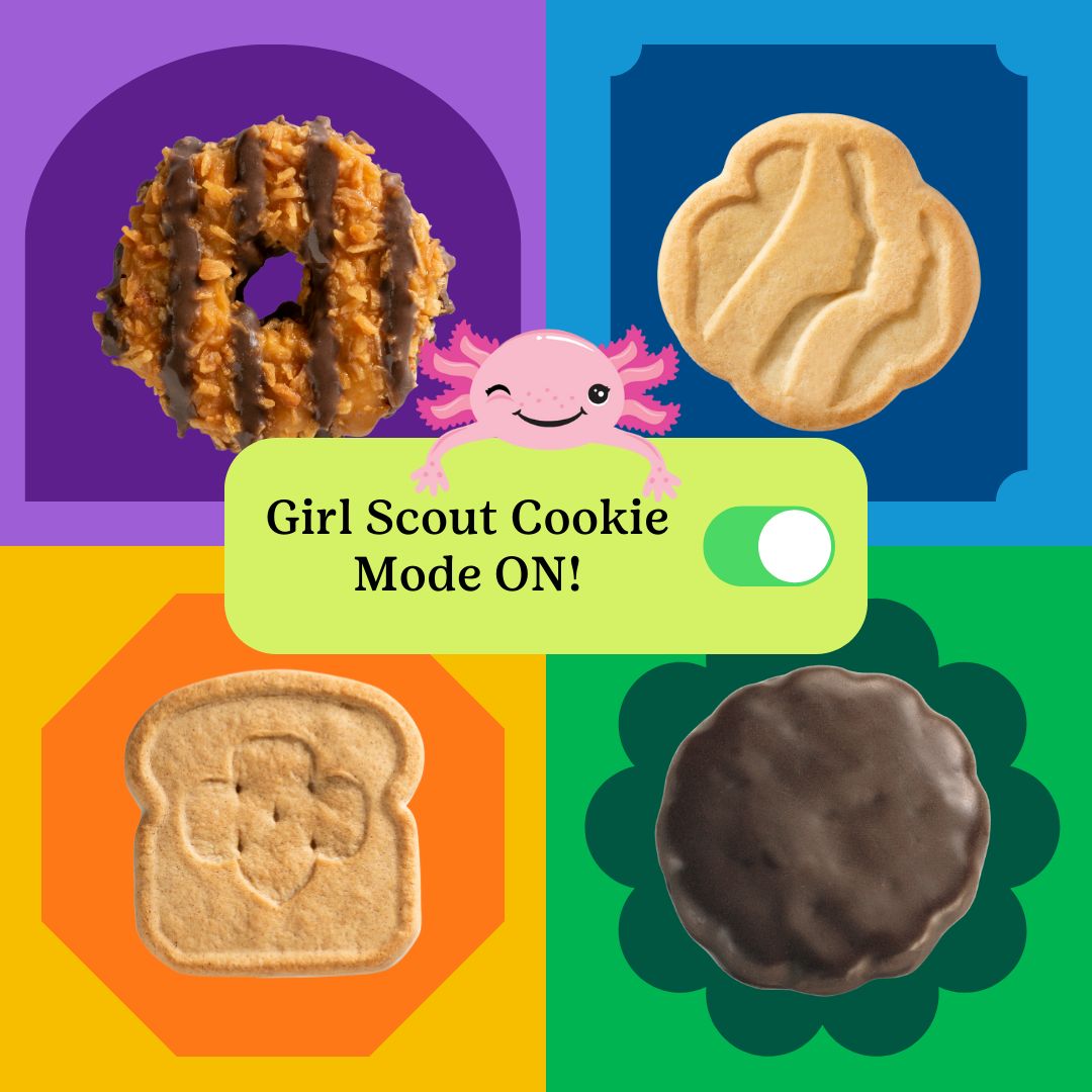 Girl Scouts in the Heart of Pennsylvania on LinkedIn: Girl Scout Cookie ... Girl Scouts in the Heart of Pennsylvania on LinkedIn: Girl Scout Cookie ...