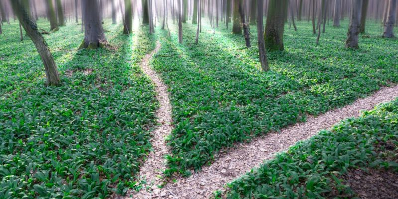 Danny Styles on LinkedIn: OpenTF forks Terraform and says HashiCorp is ... Danny Styles on LinkedIn: OpenTF forks Terraform and says HashiCorp is ...
