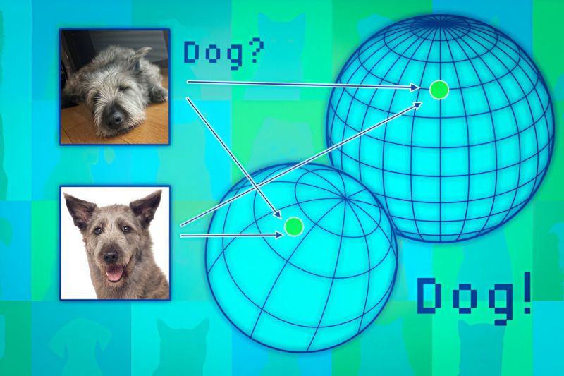 Tech Xplore on LinkedIn: New technique to assess a general-purpose AI ... Tech Xplore on LinkedIn: New technique to assess a general-purpose AI ...