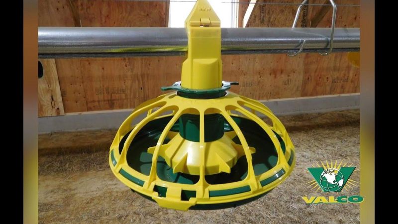 Alun Ceri Morris on LinkedIn: Broiler Feed Pan Testimonial Alun Ceri Morris on LinkedIn: Broiler Feed Pan Testimonial