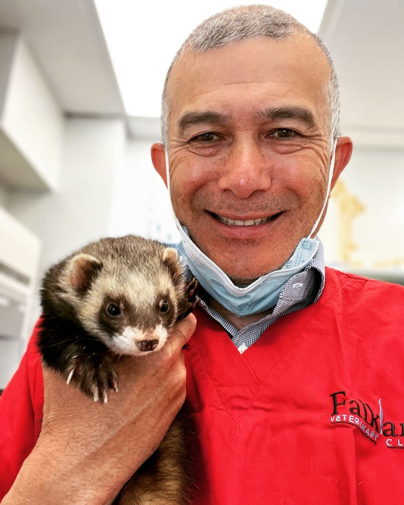 BSAVA (British Small Animal Veterinary Association) on LinkedIn ... BSAVA (British Small Animal Veterinary Association) on LinkedIn ...