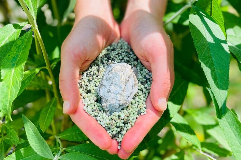 Phys.org on LinkedIn: Scientists develop new geochemical 'fingerprint ... Phys.org on LinkedIn: Scientists develop new geochemical 'fingerprint ...