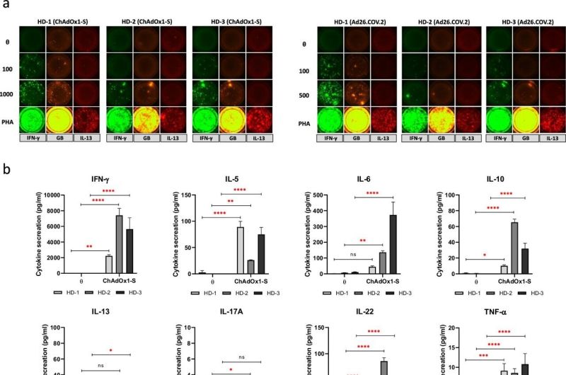 Medical Xpress on LinkedIn: Study identifies unpredicted immune ... Medical Xpress on LinkedIn: Study identifies unpredicted immune ...