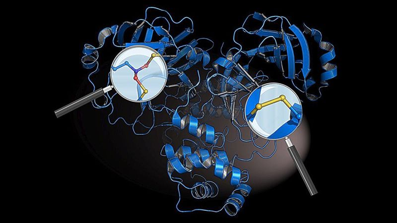 Medical Xpress on LinkedIn: Research team identifies 'protective ... Medical Xpress on LinkedIn: Research team identifies 'protective ...