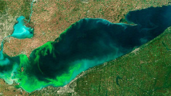 HPCwire on LinkedIn: #algalblooms #ecosystem #databases #ai #hpc HPCwire on LinkedIn: #algalblooms #ecosystem #databases #ai #hpc