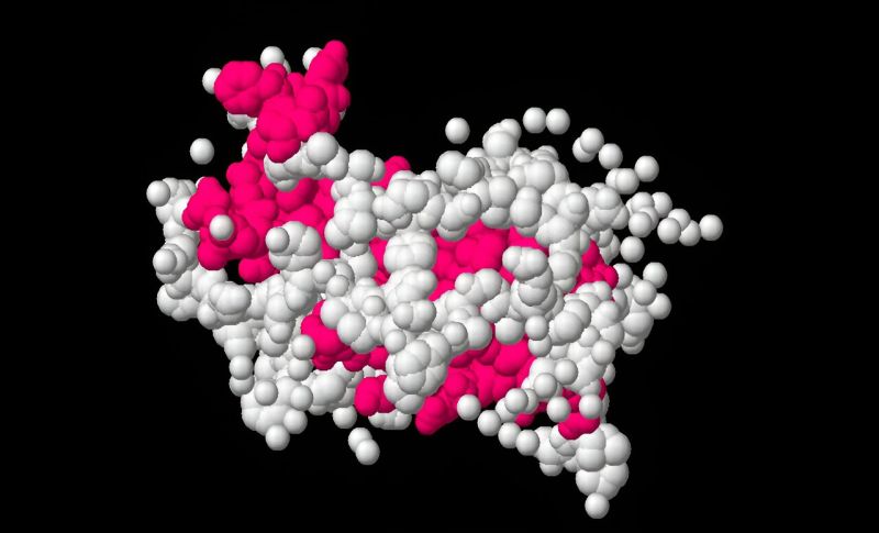 Phys.org on LinkedIn: Growth hormone found to influence regulation of ... Phys.org on LinkedIn: Growth hormone found to influence regulation of ...