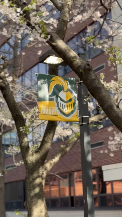 Ira Thor on LinkedIn: NJCU in Spring Ira Thor on LinkedIn: NJCU in Spring