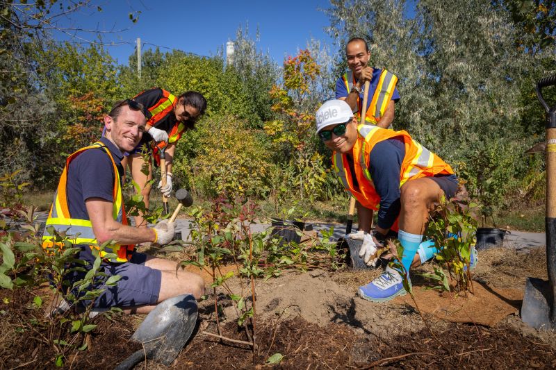 Chris Gilligan on LinkedIn: #sustainability #tcs #toronto #towaterfront42k Chris Gilligan on LinkedIn: #sustainability #tcs #toronto #towaterfront42k