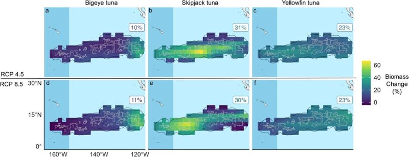 Phys.org on LinkedIn: Deep sea mining plans could interfere with fish ... Phys.org on LinkedIn: Deep sea mining plans could interfere with fish ...