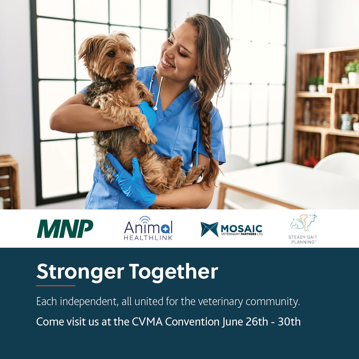 MNP on LinkedIn: Animal HealthLink, MNP, Mosaic Veterinary Partners ... MNP on LinkedIn: Animal HealthLink, MNP, Mosaic Veterinary Partners ...