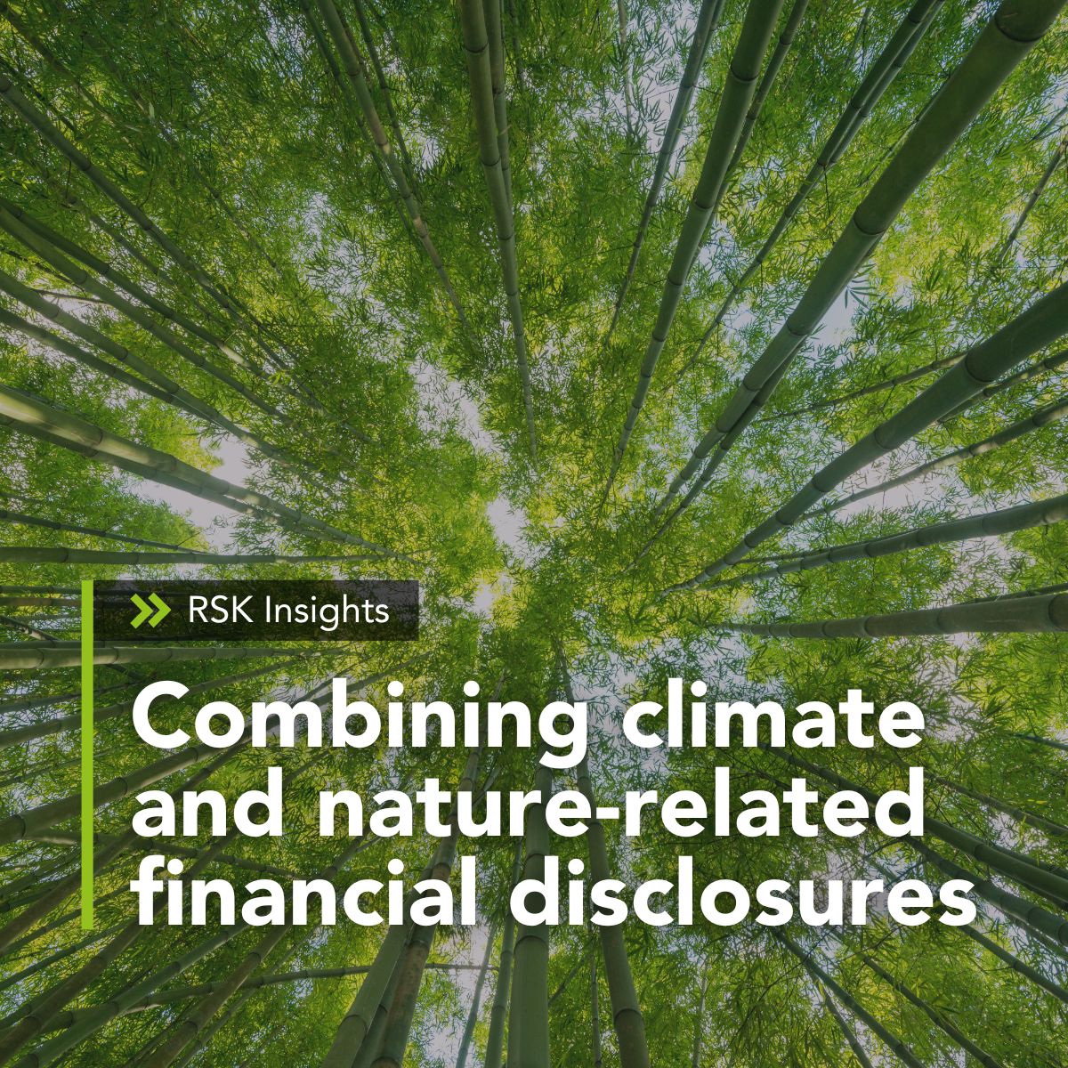 RSK Group on LinkedIn: #rskgroup #climatechange #ecology #nature #finance RSK Group on LinkedIn: #rskgroup #climatechange #ecology #nature #finance
