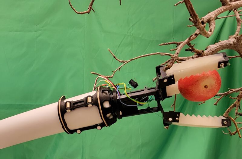 Tech Xplore on LinkedIn: New robotic gripper for automated apple ... Tech Xplore on LinkedIn: New robotic gripper for automated apple ...