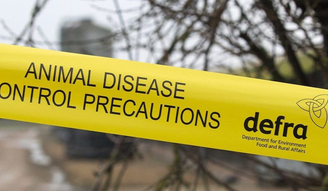 Poultry.Network on LinkedIn: Defra aims to allow remote vet inspections ... Poultry.Network on LinkedIn: Defra aims to allow remote vet inspections ...