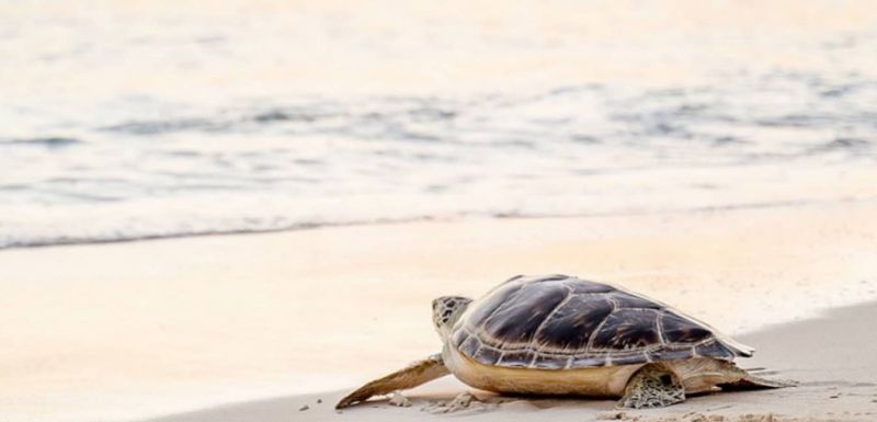 Claudine Choquette on LinkedIn: Seas of untapped potential Claudine Choquette on LinkedIn: Seas of untapped potential