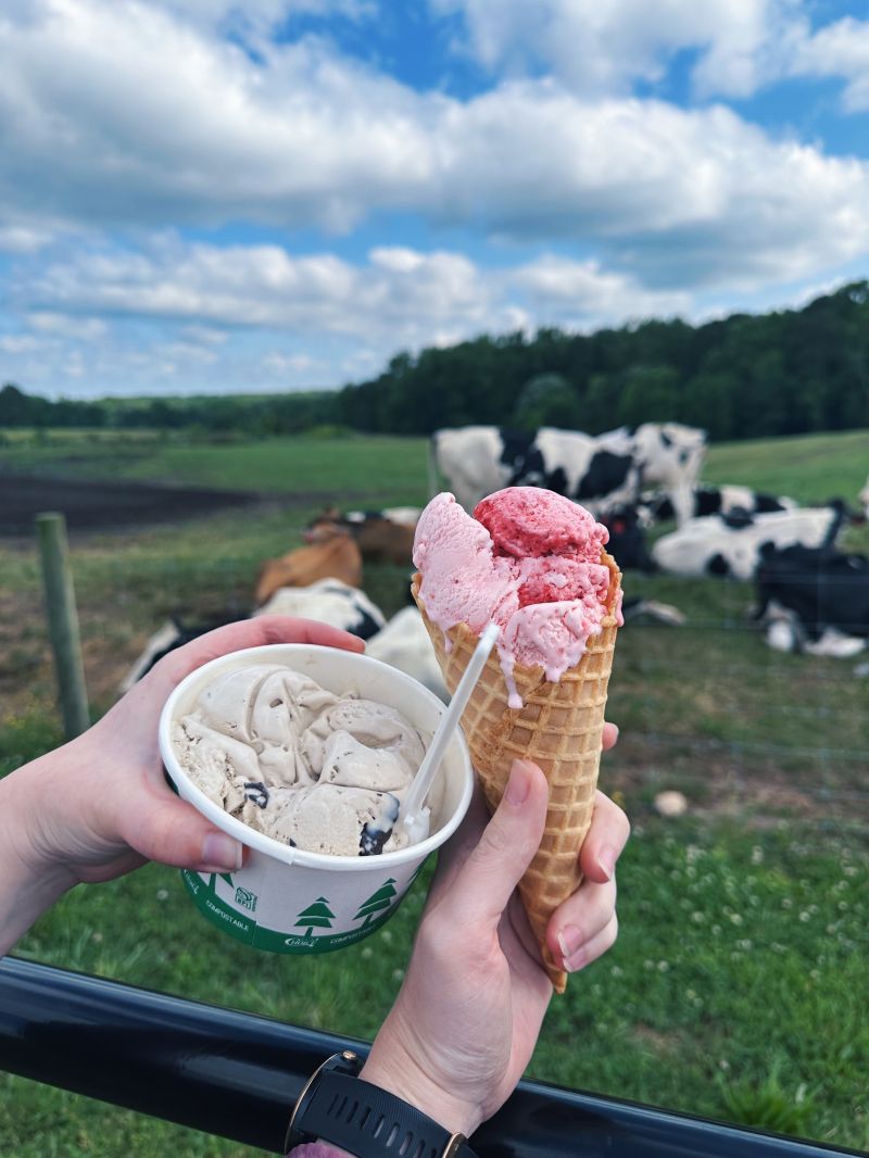 Gary Hartong, PE, FACEC on LinkedIn: Waffle Cone. Period. Gary Hartong, PE, FACEC on LinkedIn: Waffle Cone. Period.
