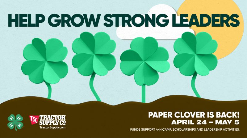 National 4-H Council on LinkedIn: #4h #4hpaperclover National 4-H Council on LinkedIn: #4h #4hpaperclover