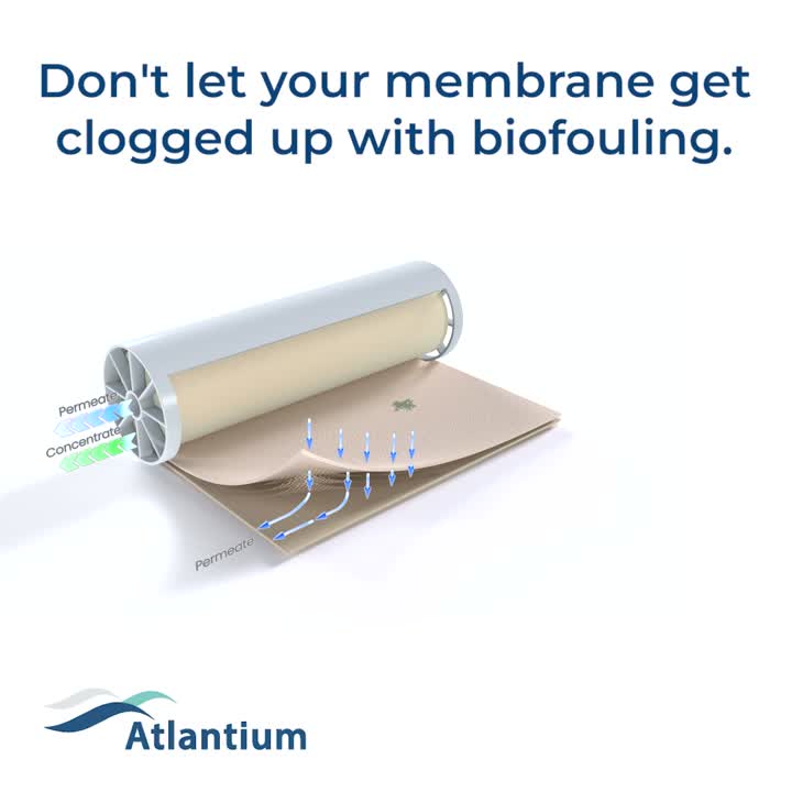 Sivan Bleich on LinkedIn: Biofouling can slow you down. Use our quick ... Sivan Bleich on LinkedIn: Biofouling can slow you down. Use our quick ...