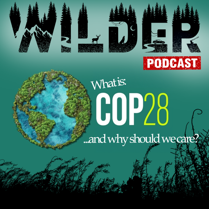 Ep. 011: What is COP 28 and why should we care? Ep. 011: What is COP 28 and why should we care?