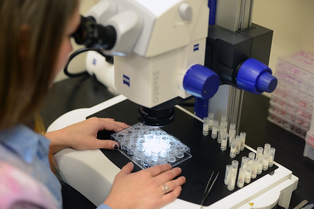 Visualizing Molecular Structures: Navigating the X-Ray Crystallography ... Visualizing Molecular Structures: Navigating the X-Ray Crystallography ...