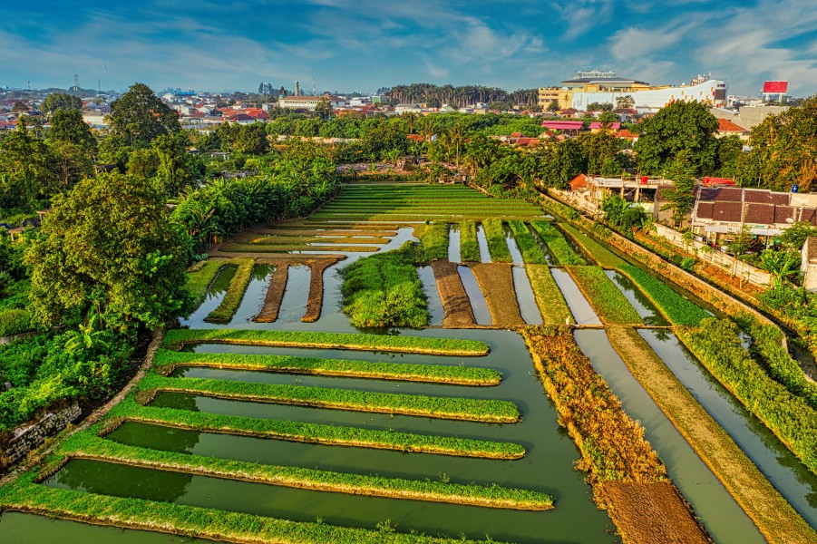 Achieving Zero Hunger Achieving Zero Hunger