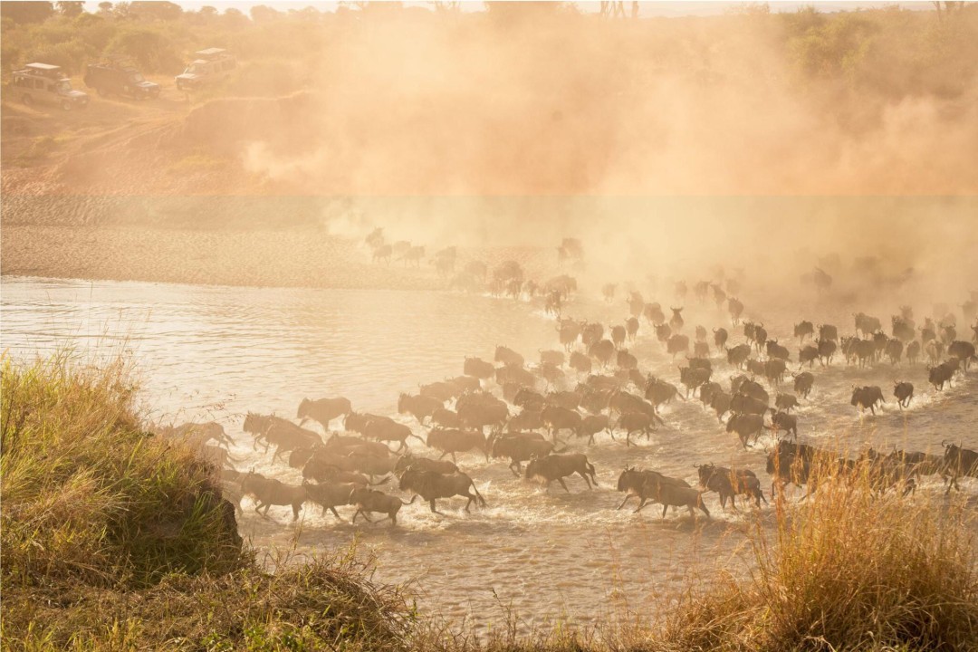 Lifestyle Safaris' 7 Extraordinary Safari Experiences Lifestyle Safaris' 7 Extraordinary Safari Experiences