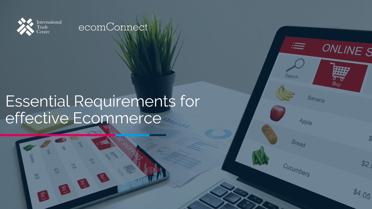 Essential Requirements for effective Ecommerce Essential Requirements for effective Ecommerce