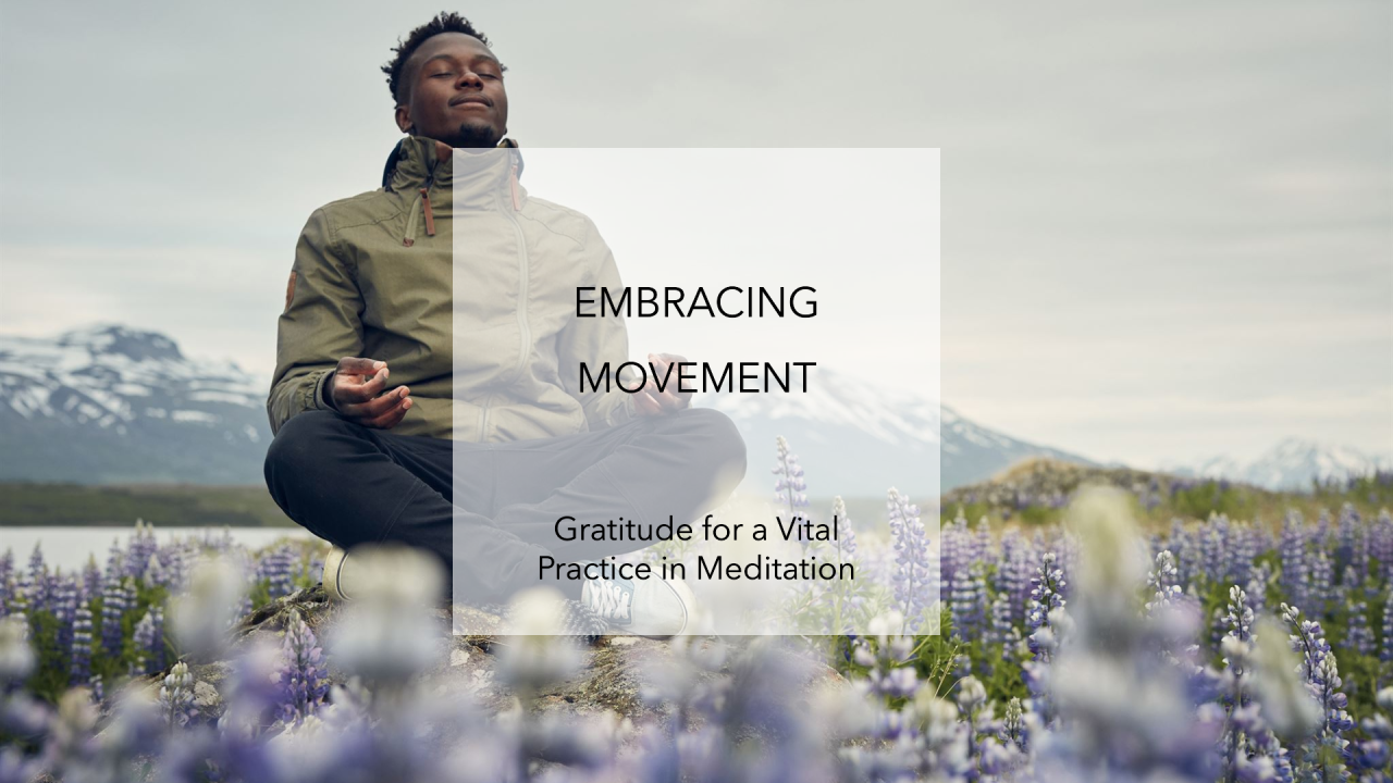 Embracing Movement: Gratitude for a Vital Practice in Mediation Embracing Movement: Gratitude for a Vital Practice in Mediation