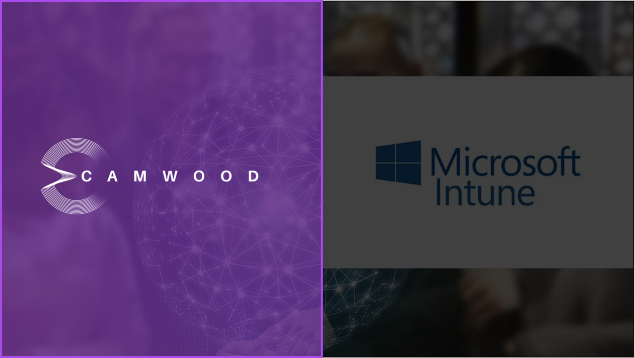 🤖 The Importance of Migrating from SCCM to Intune for Application ... 🤖 The Importance of Migrating from SCCM to Intune for Application ...