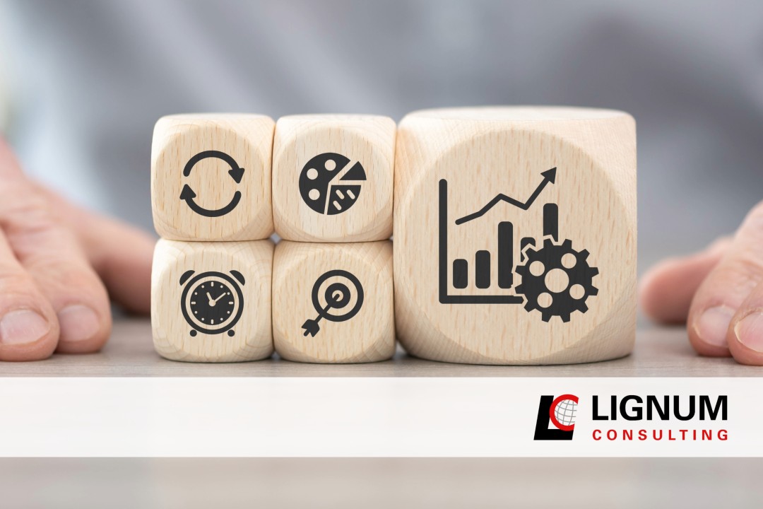 Optimizing Operational Efficiency: Reduce Waste Successfully Optimizing Operational Efficiency: Reduce Waste Successfully