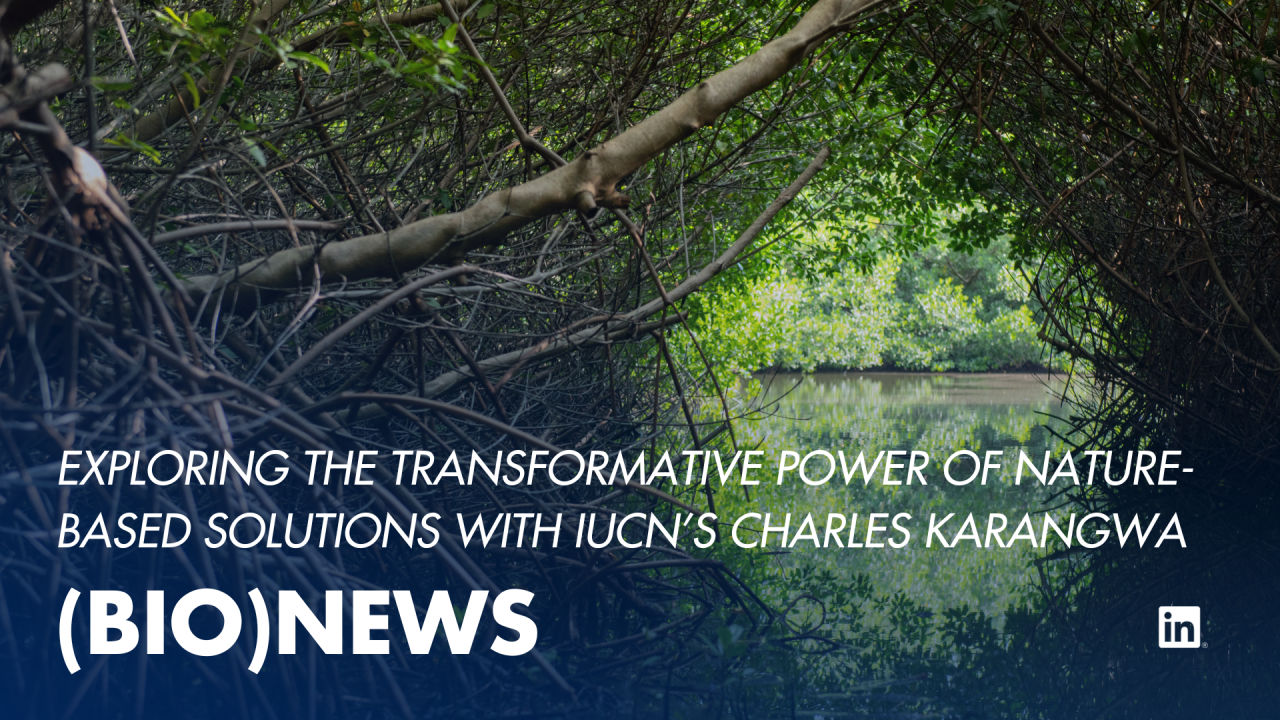 Exploring the Transformative Power of Nature-Based Solutions with IUCN ... Exploring the Transformative Power of Nature-Based Solutions with IUCN ...