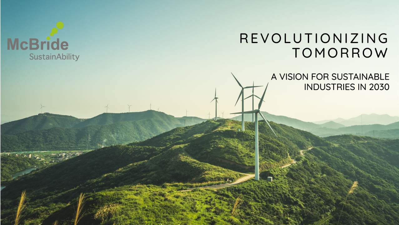 Revolutionizing Tomorrow: A Vision for Sustainable Industries in 2030 Revolutionizing Tomorrow: A Vision for Sustainable Industries in 2030