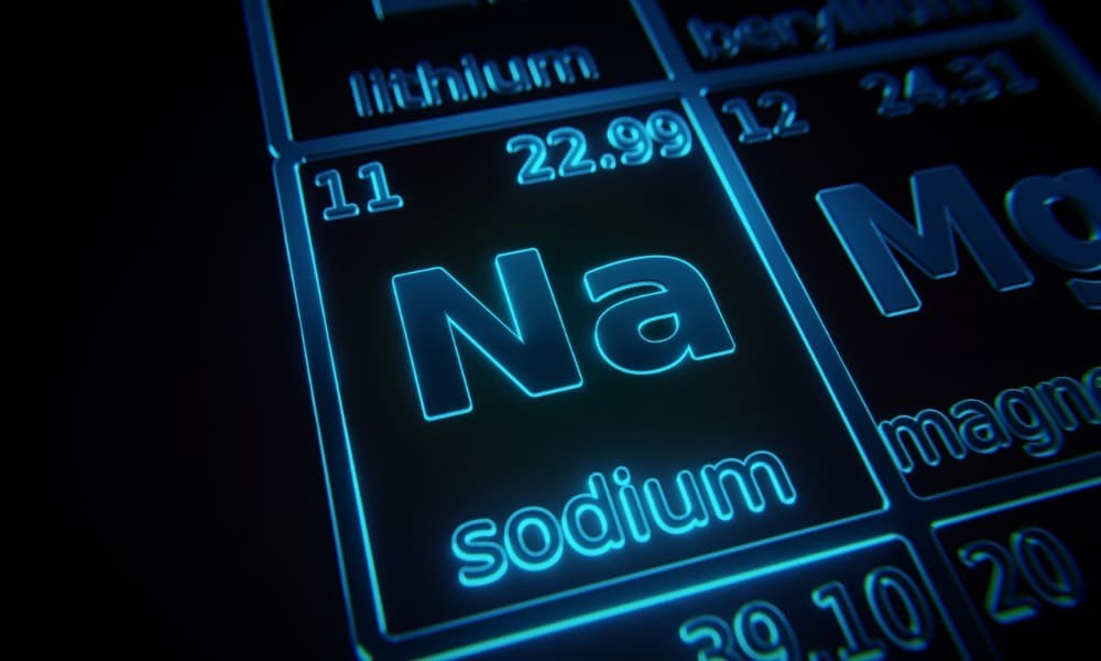 MicroSalt®️: The Breakthrough In Low-Sodium Food Science MicroSalt®️: The Breakthrough In Low-Sodium Food Science