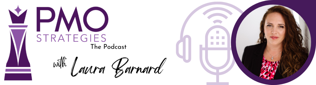 228: Customer-Focused Mindset for PMOs with Moussa Gherbi 228: Customer-Focused Mindset for PMOs with Moussa Gherbi
