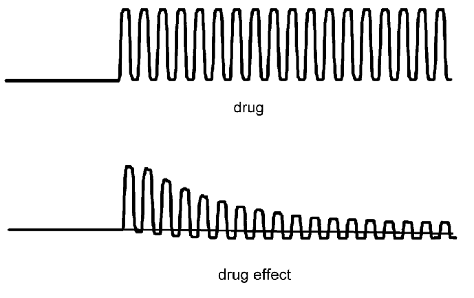 Understanding Tolerance: Mechanisms, Types, and Its Role in Drug Therapy Understanding Tolerance: Mechanisms, Types, and Its Role in Drug Therapy