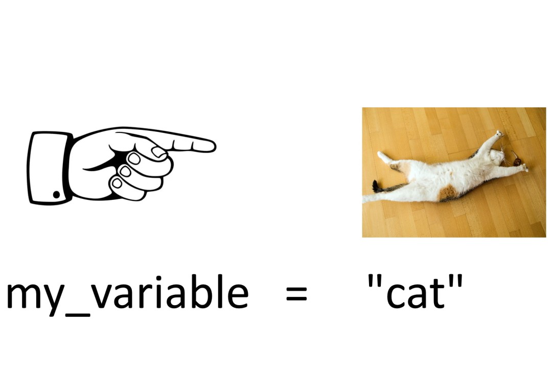 Some Programming Concepts Explained: Variables Some Programming Concepts Explained: Variables