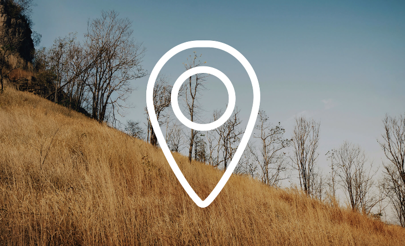 Insights for Importers: Navigating EU Deforestation Regulations with a ... Insights for Importers: Navigating EU Deforestation Regulations with a ...