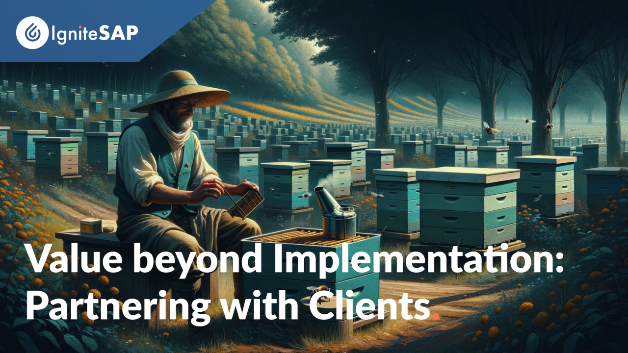 Value beyond Implementation: Partnering with Clients Value beyond Implementation: Partnering with Clients