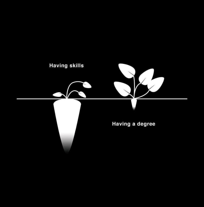 skills vs degree skills vs degree