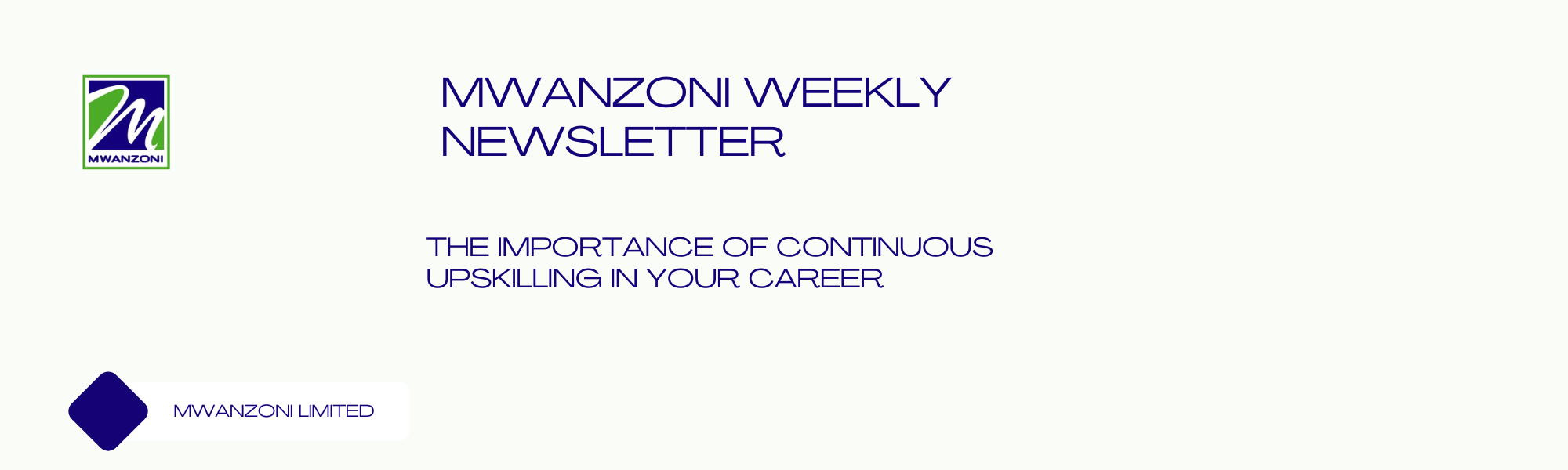 The Importance of Continuous Upskilling in Your Career The Importance of Continuous Upskilling in Your Career