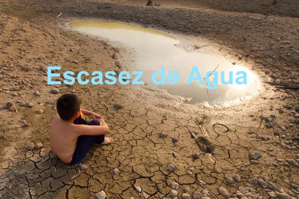 ¿Qué se puede hacer ante la escasez de agua? ¿Qué se puede hacer ante la escasez de agua?