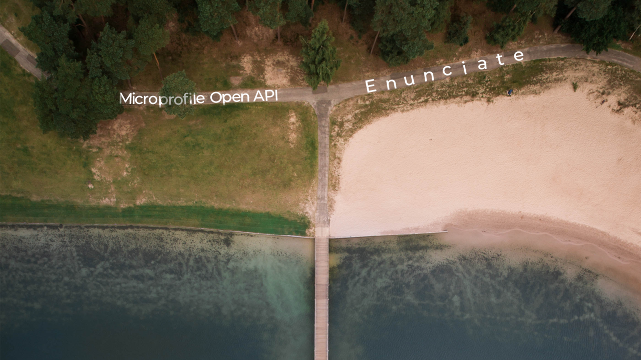 Enunciate vs. Microprofile OpenAPI: A Code First Approach Enunciate vs. Microprofile OpenAPI: A Code First Approach