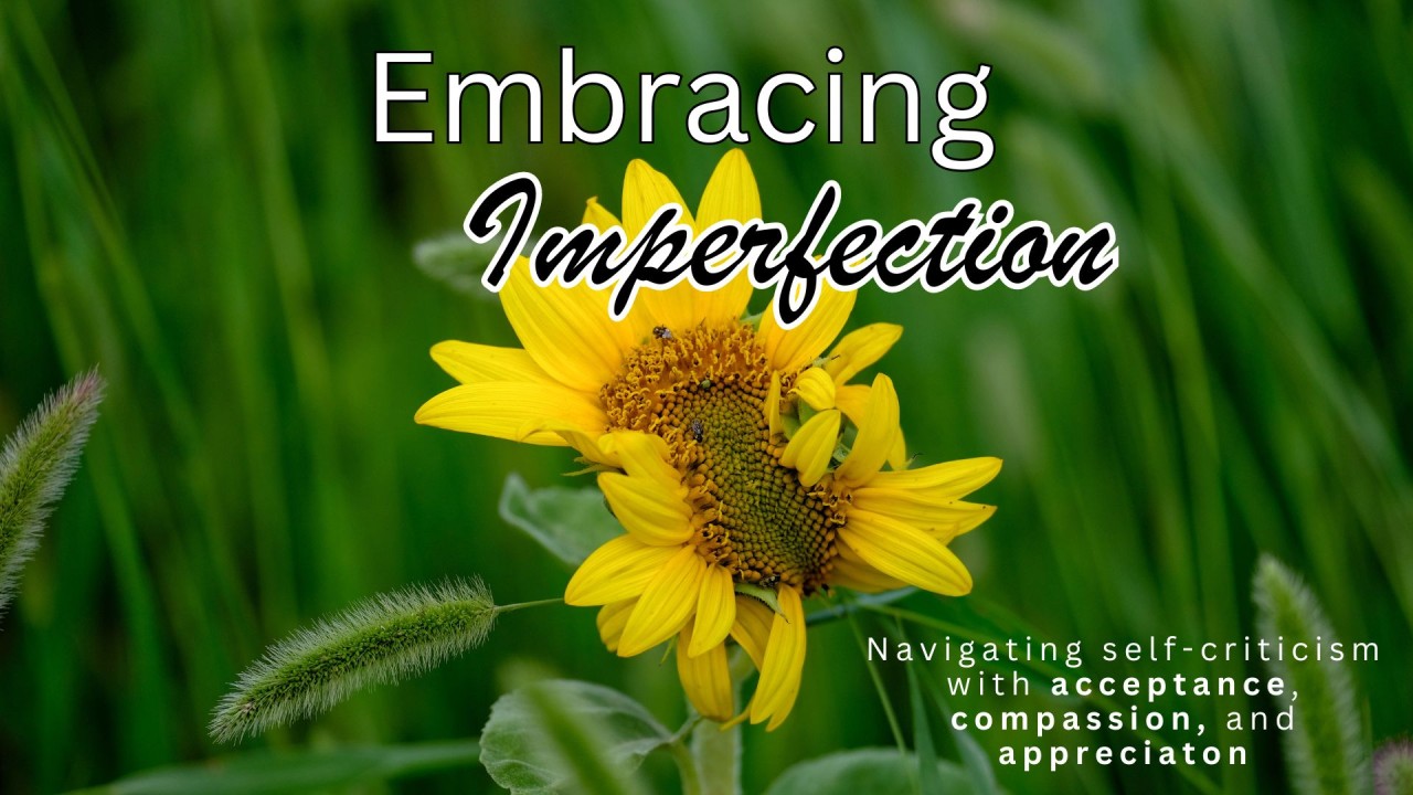 Embracing Imperfection: Navigating Self-Criticism with Acceptance ... Embracing Imperfection: Navigating Self-Criticism with Acceptance ...