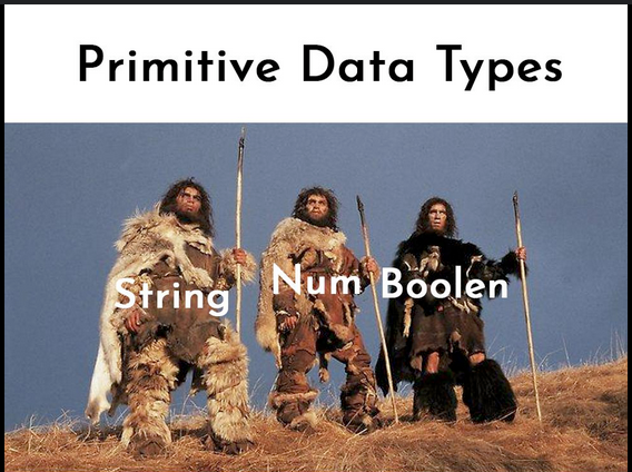 Understanding Primitive Data Types in Programming Understanding Primitive Data Types in Programming