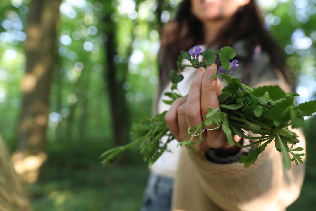 Beyond Transactions: Building Emotional Connections with Brand Storytelling Beyond Transactions: Building Emotional Connections with Brand Storytelling