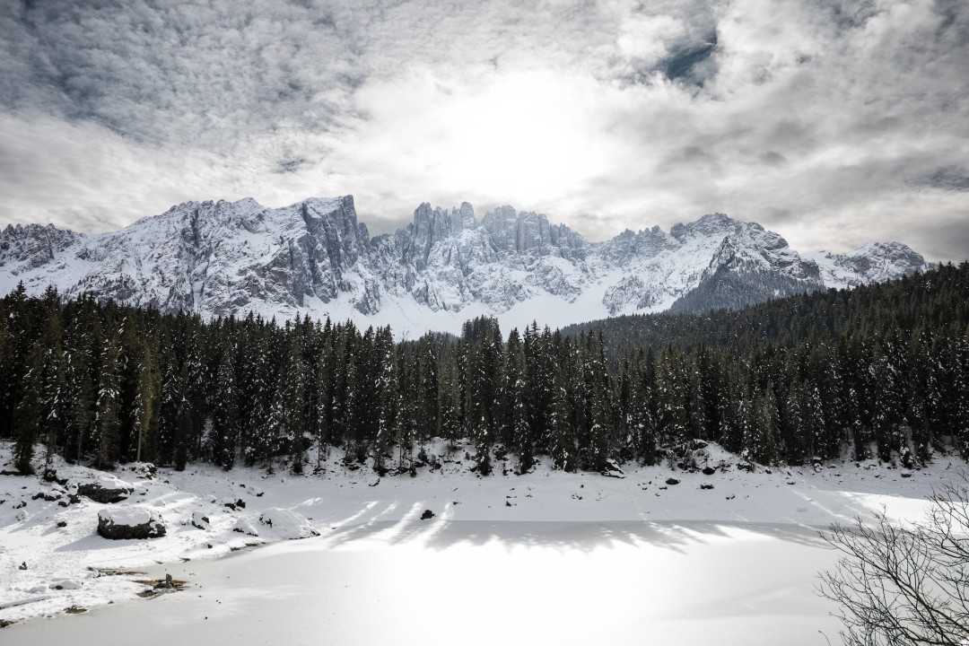 Rules, decision trees, and forests Rules, decision trees, and forests